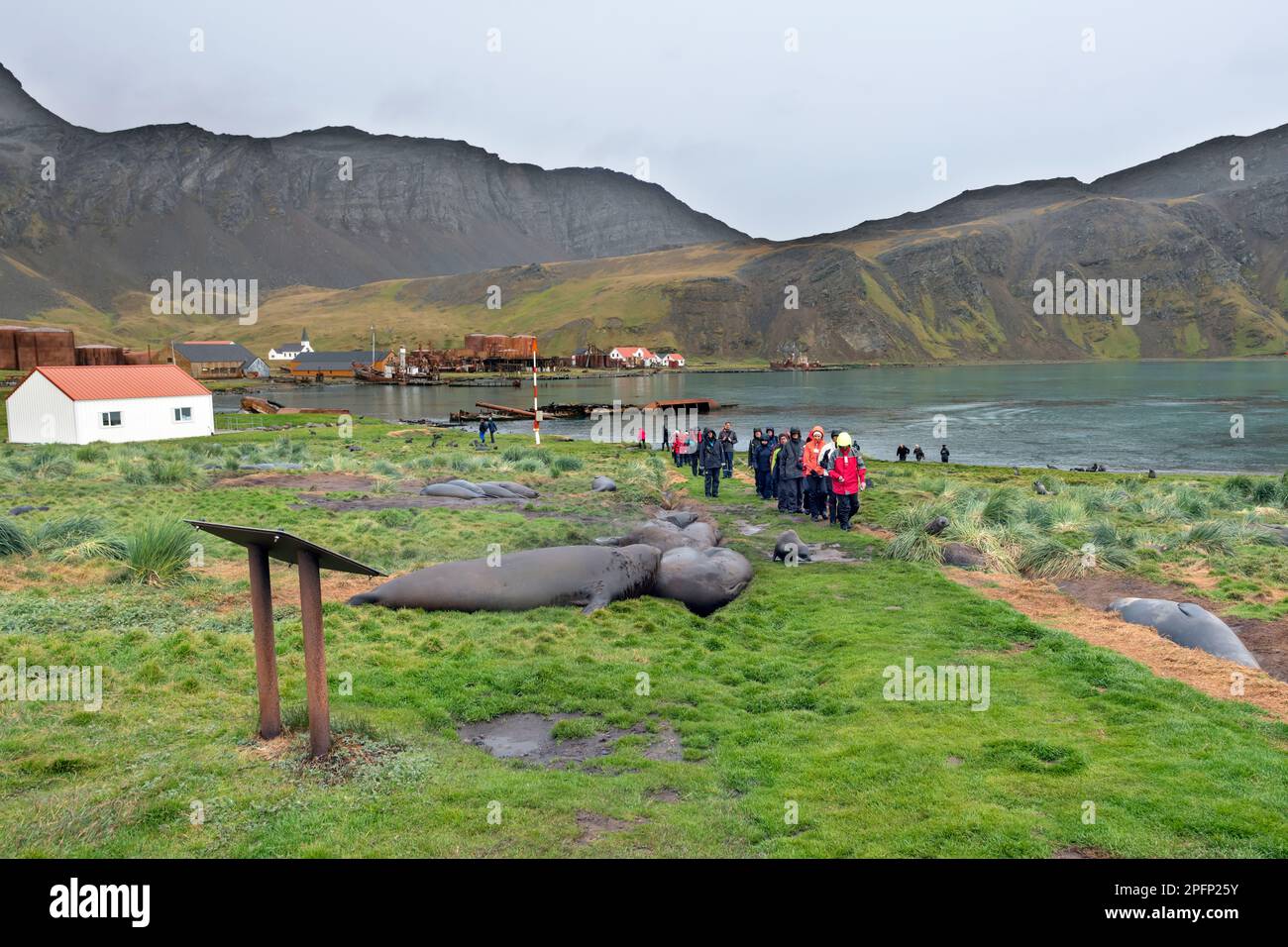 South Georgia, Grytviken Stock Photo - Alamy