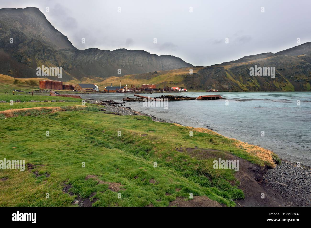 South Georgia, Grytviken Stock Photo - Alamy