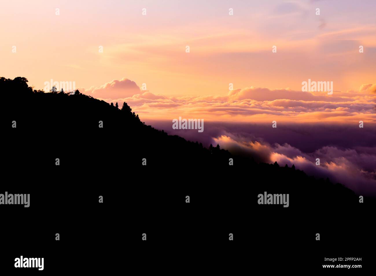 Malaysia sun orange tree cloud clouds hi-res stock photography and ... Malaysia sun orange tree cloud clouds hi-res stock photography and ...