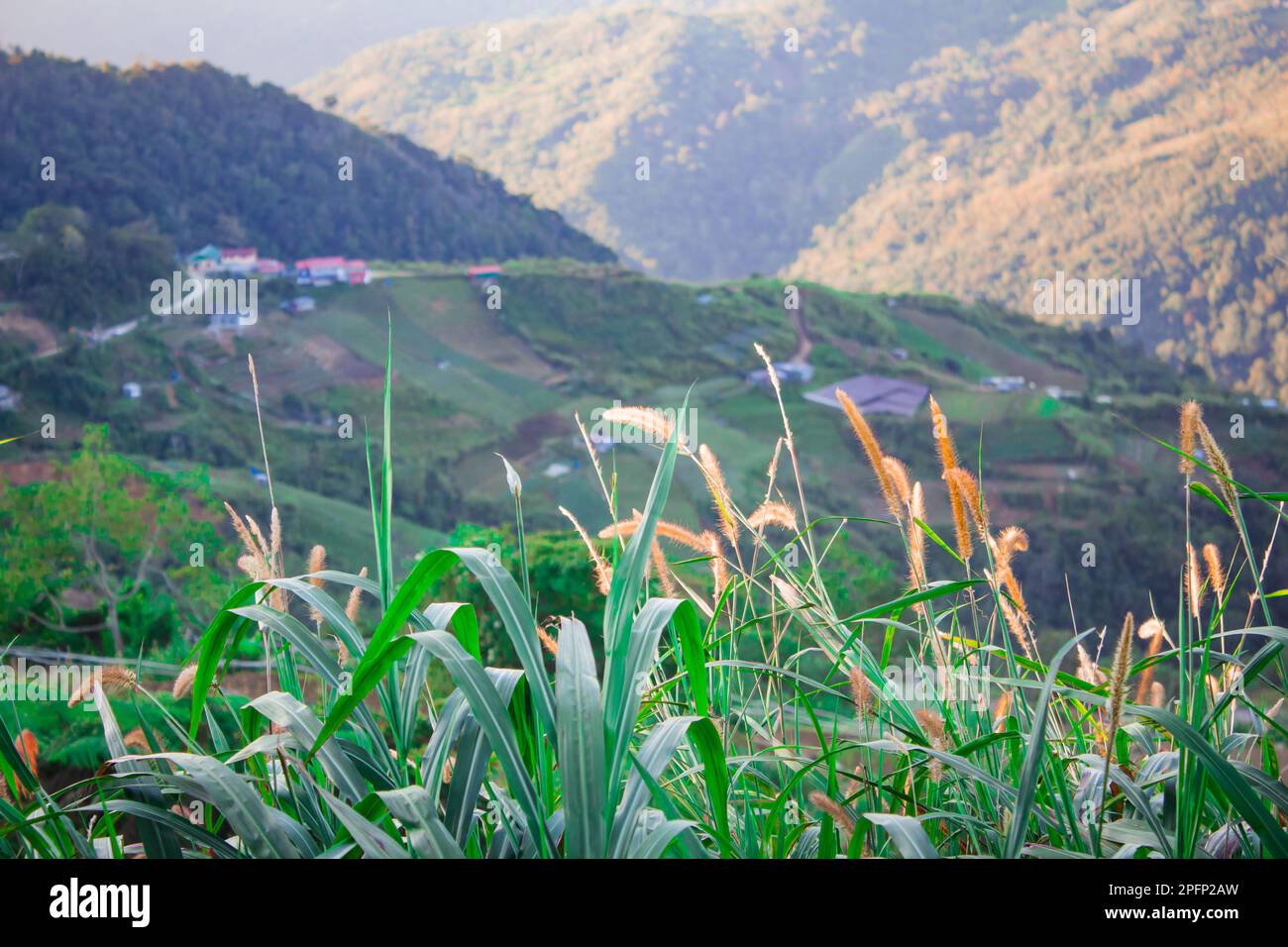 Scenic valley view of crocker mountain range in the island of Borneo ...