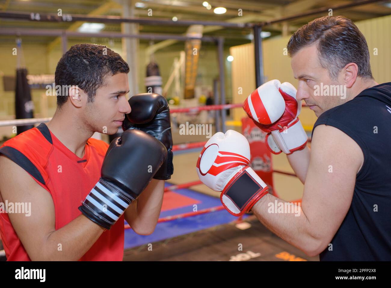 portrait of a young boxing student Stock Photo - Alamy