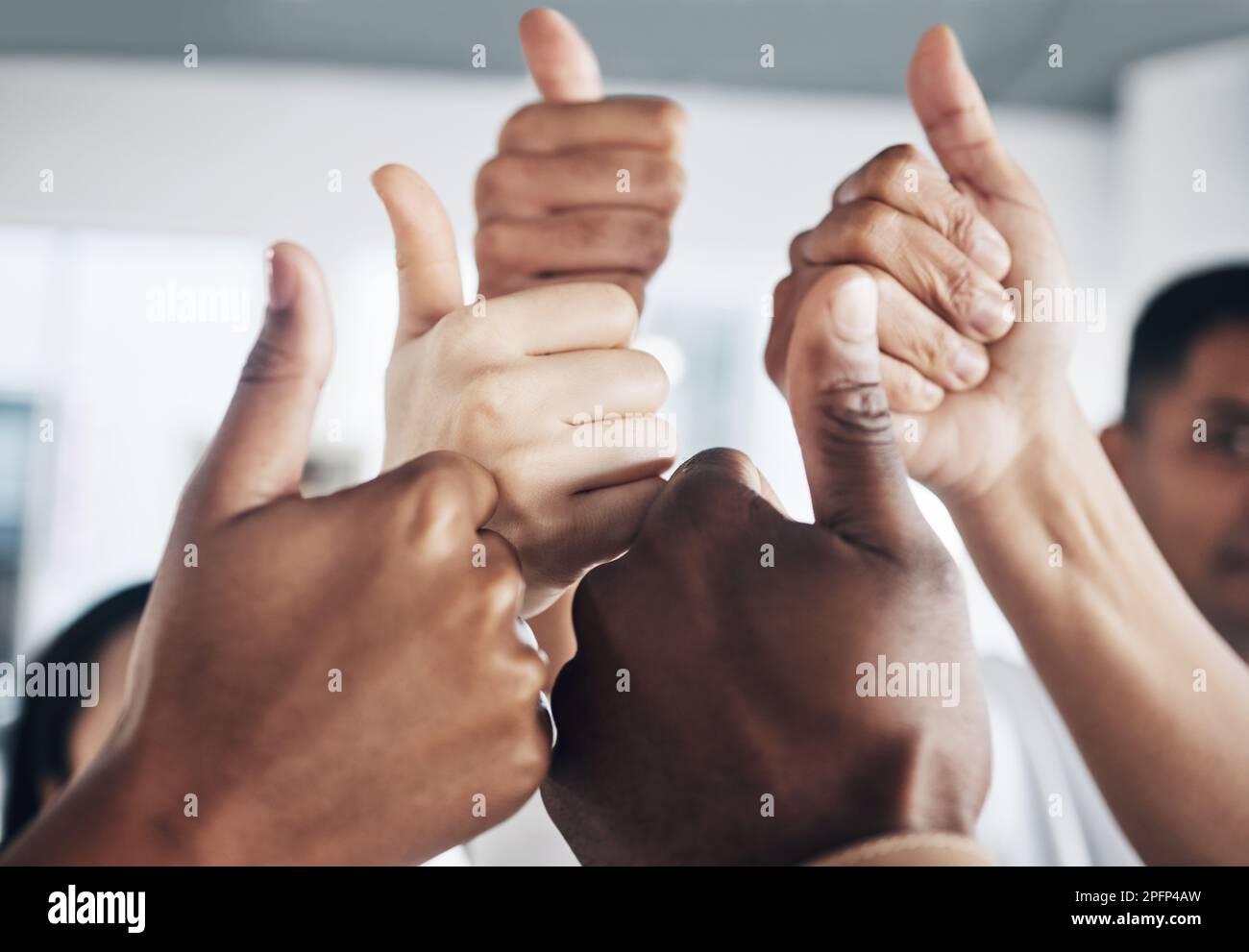 Hands, thumbs up and diversity, support and business people, solidarity and agreement with unity ...