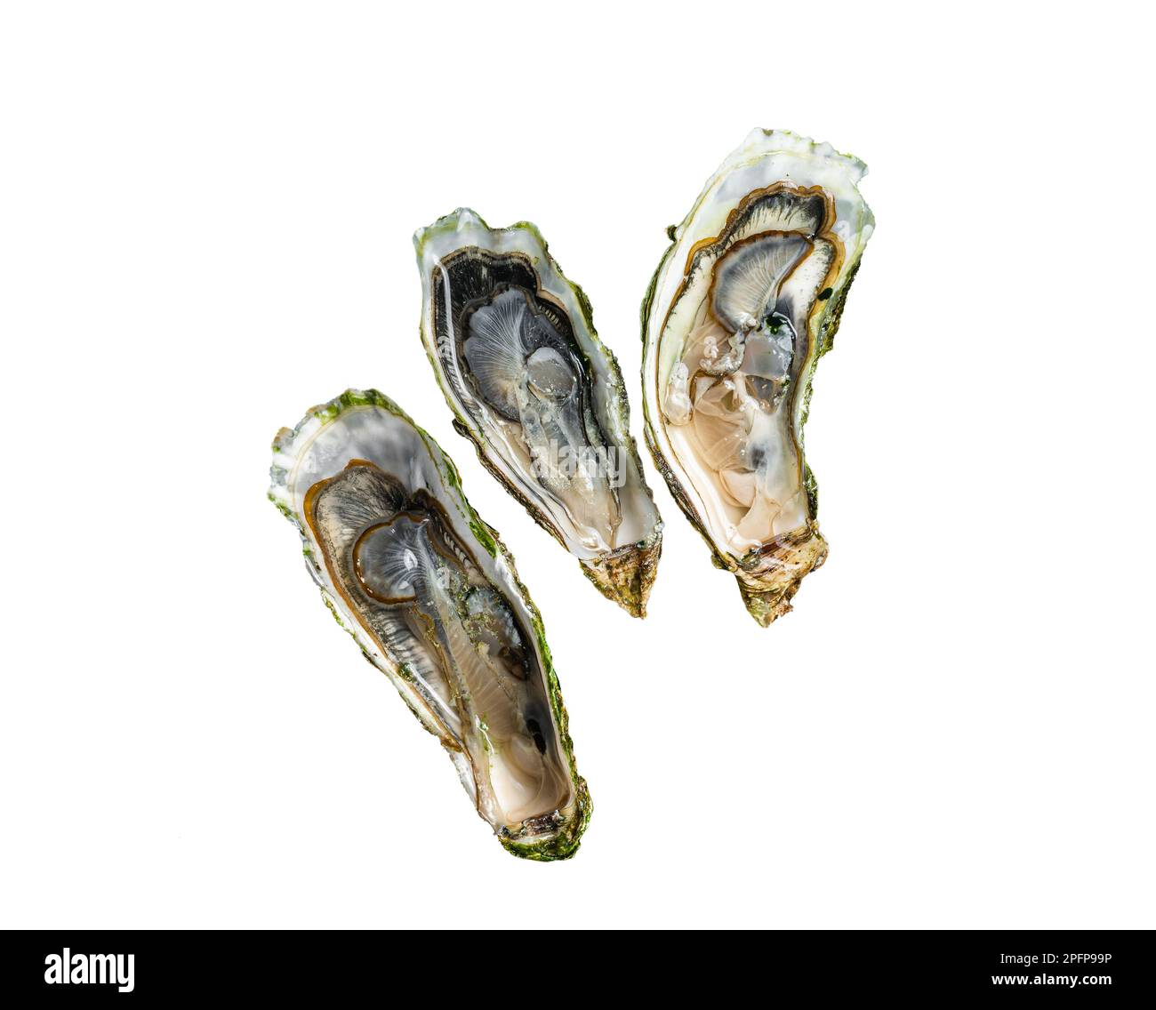Seafood Brassiere, open Oysters with lemon. Isolated on white ...