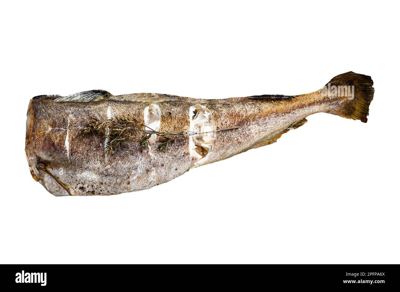 Roasted cod white fish with thyme on marble board. Isolated on white ...