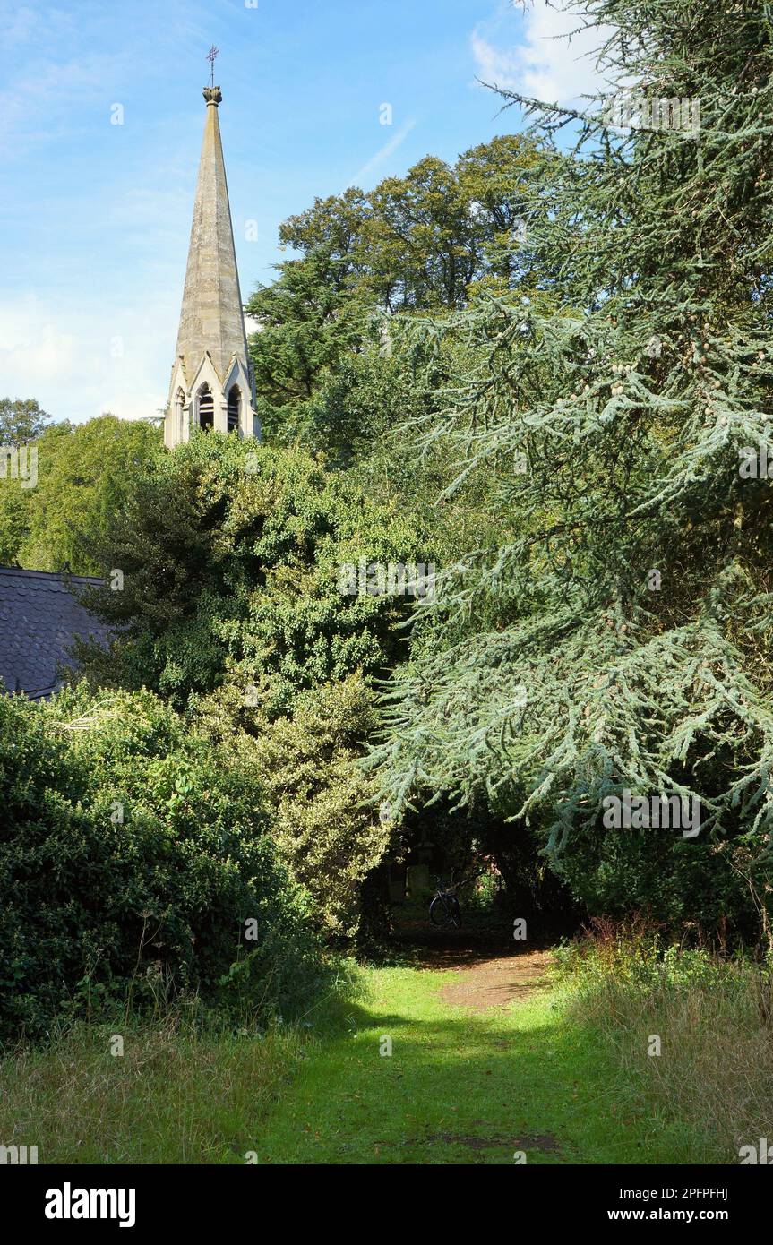 Church steeple in the woodland of the Boston Victorian cemetery Stock ...