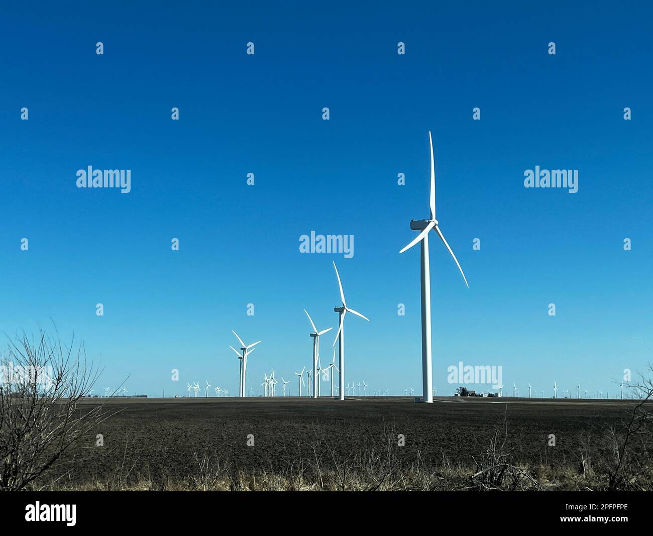 Indiana ecology hi-res stock photography and images - Alamy