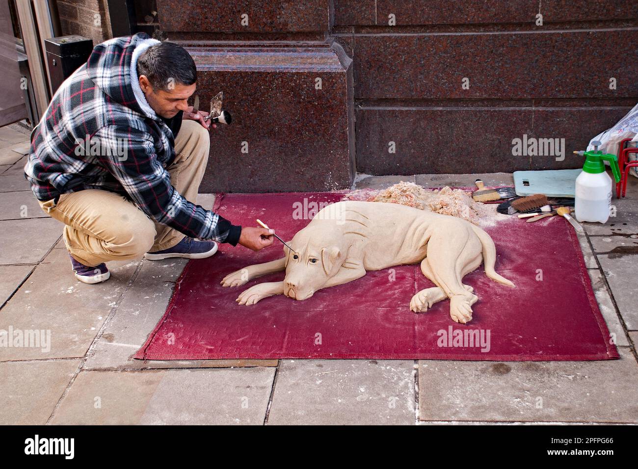 Sand sculpture of a dog taken on a street in Durham Stock Photo - Alamy