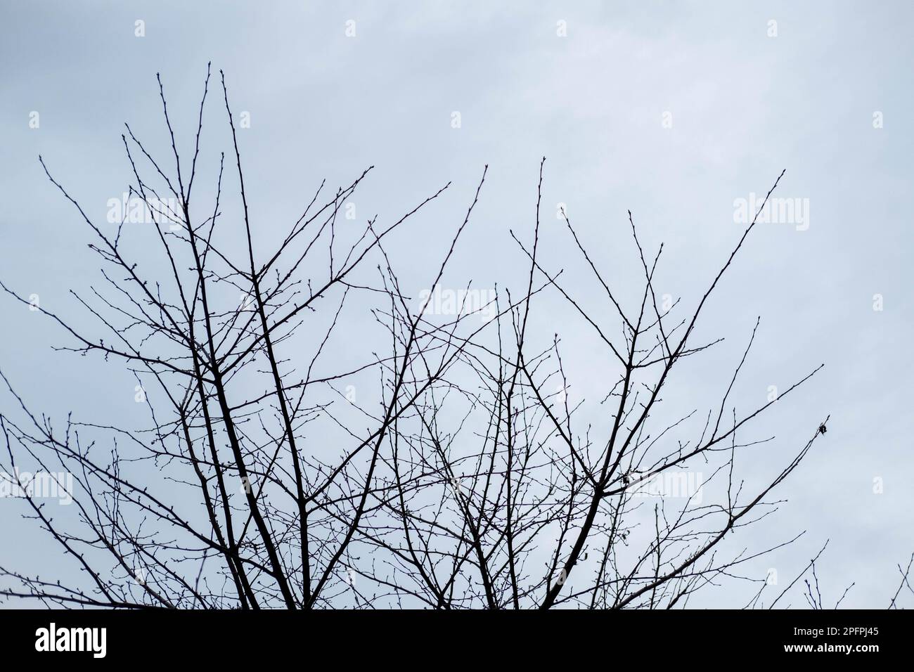 Dull sky hi-res stock photography and images - Alamy