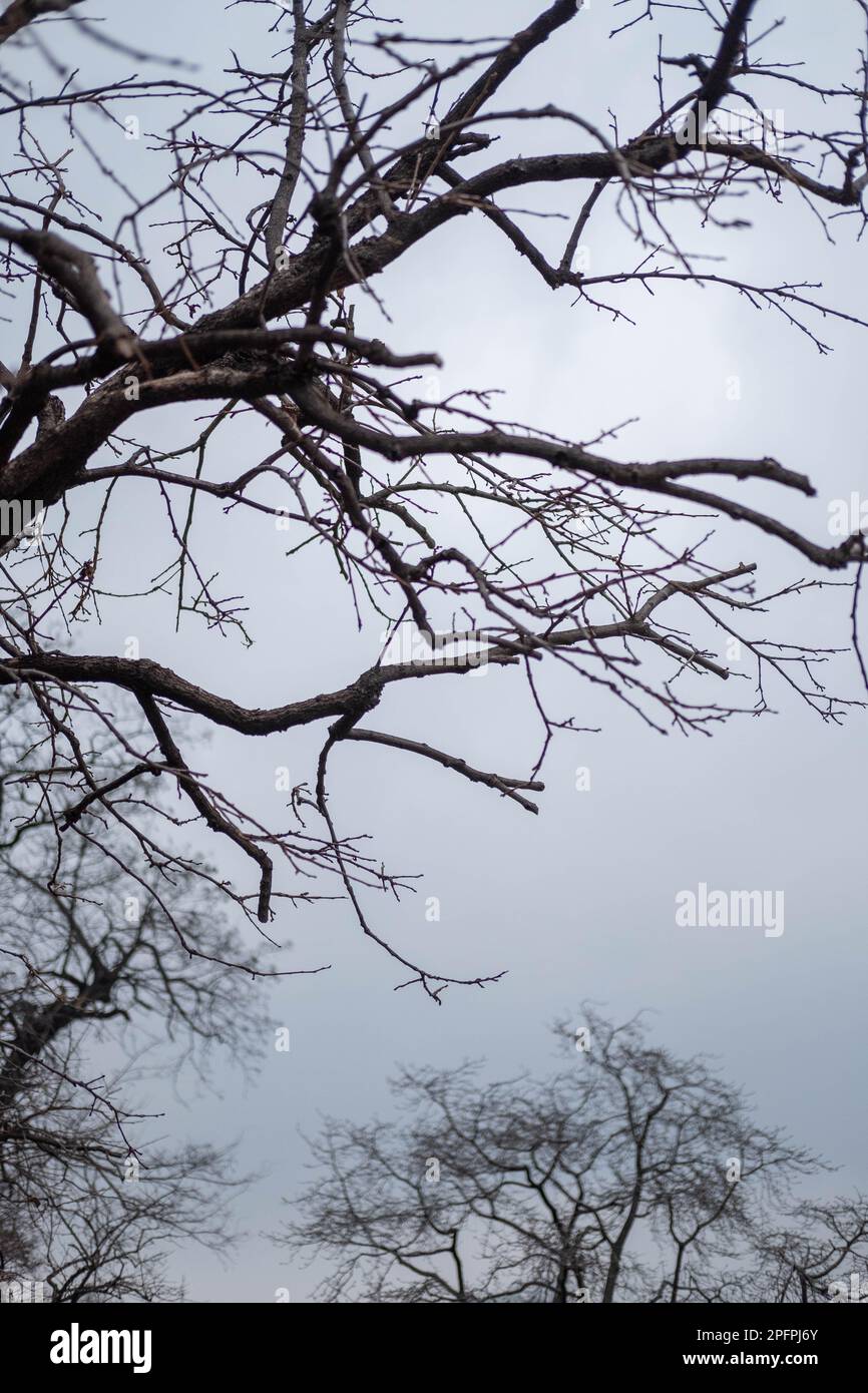 Dull blue sky hi-res stock photography and images - Alamy
