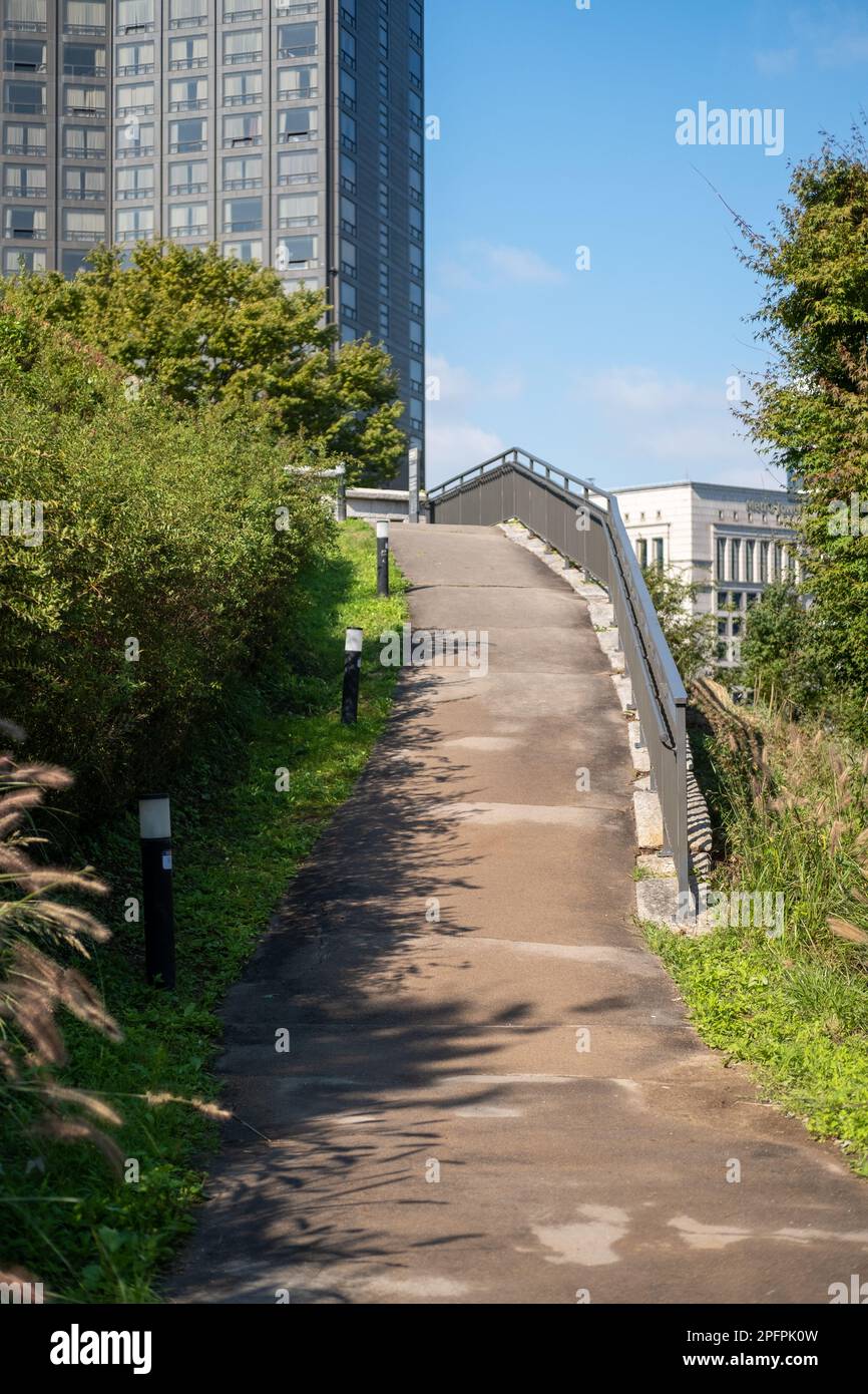 Reed seoul park sunset hi-res stock photography and images - Alamy