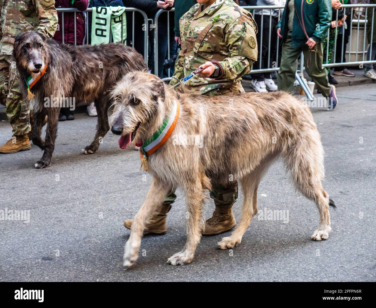 New York, New York, USA. 17th Mar, 2023. Soldiers from the ''Fighting ...