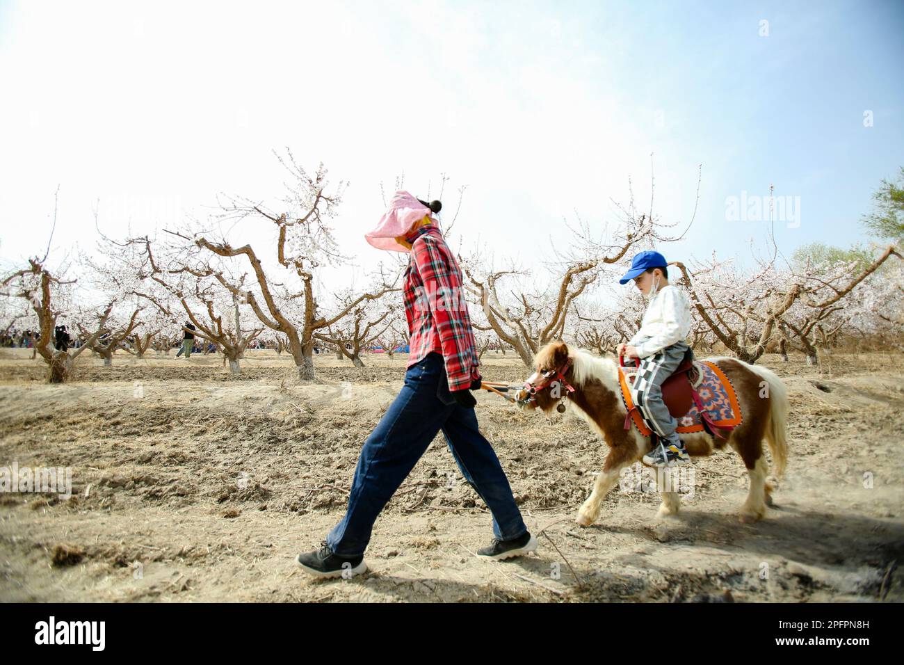 Turpan, China's Xinjiang Uygur Autonomous Region. 18th Mar, 2023. A ...