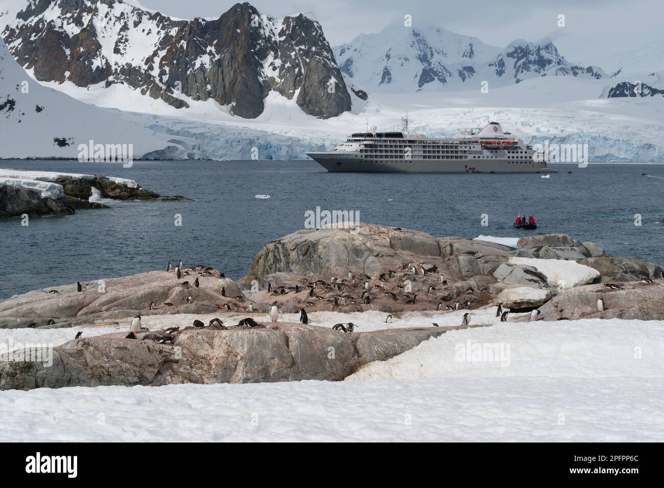 Antarctica penguin ship tourist hi-res stock photography and images - Alamy