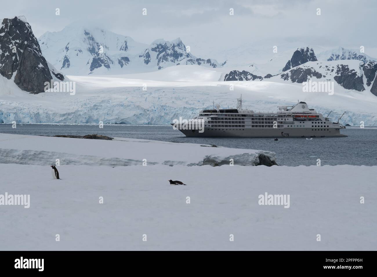 Antarctica penguin ship tourism hi-res stock photography and images - Alamy