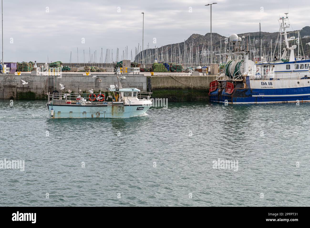 Fishing boat surrounded by gulls arriving in Howth Harbour near Dublin ...