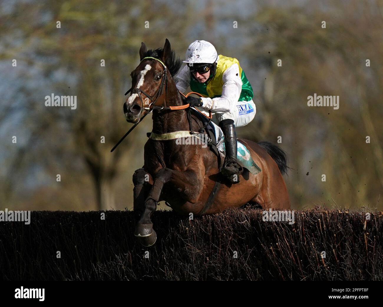 Major dundee horse hi-res stock photography and images - Alamy