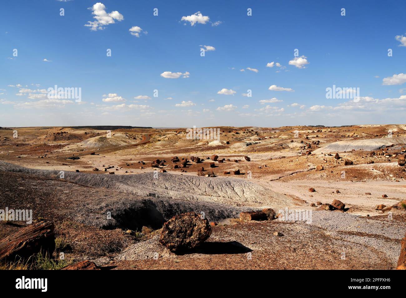 Scenic landscape of the ancient petrified forest in Arizona Stock Photo ...