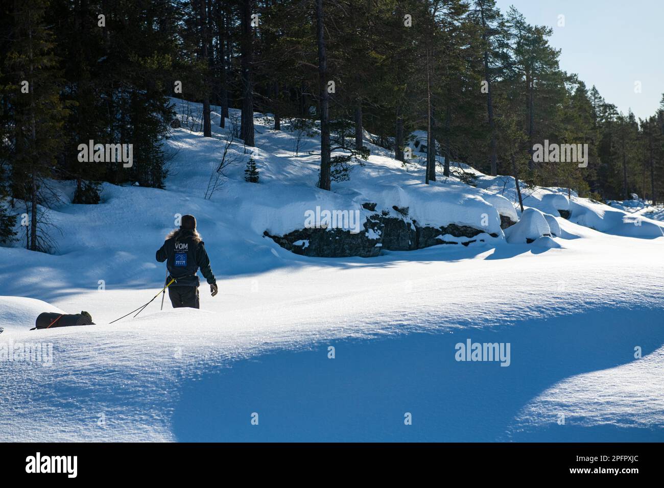 A long haired guide trekking tows a sledge with provisions in the ...