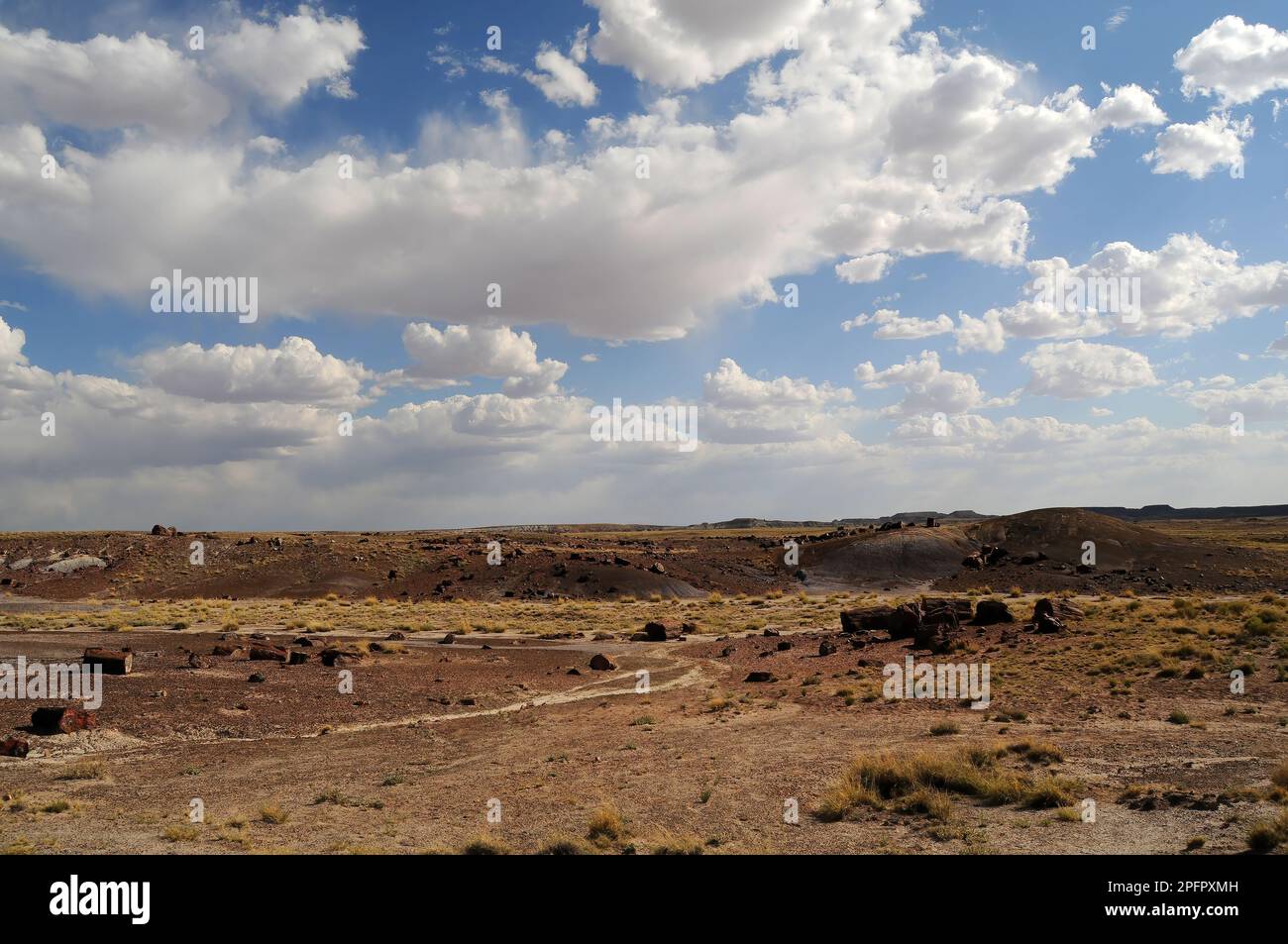 Scenic landscape of the ancient petrified forest in Arizona Stock Photo ...