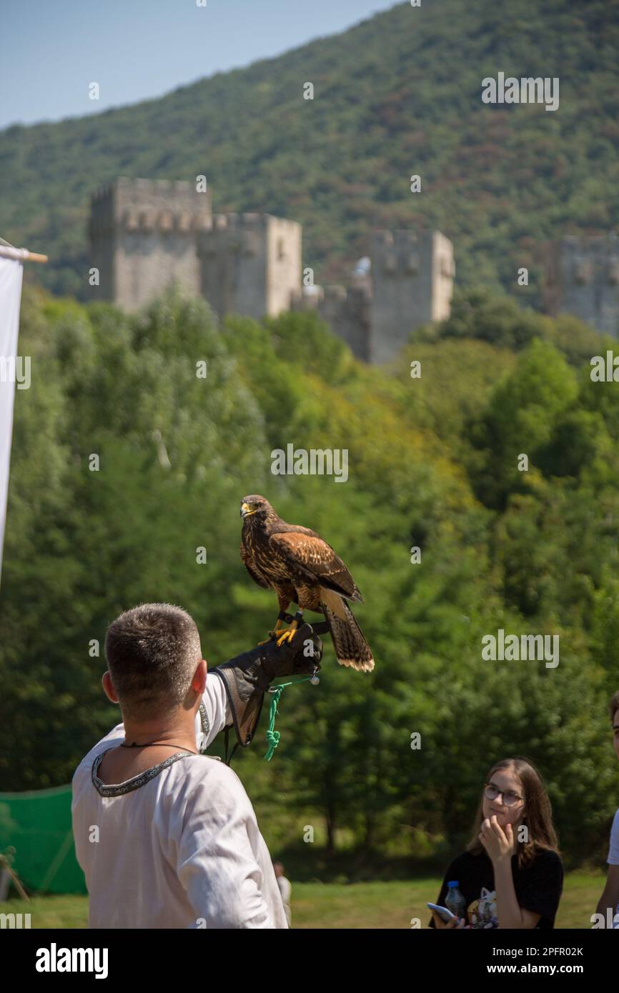 A man holding a hawk with monastery in background Stock Photo - Alamy