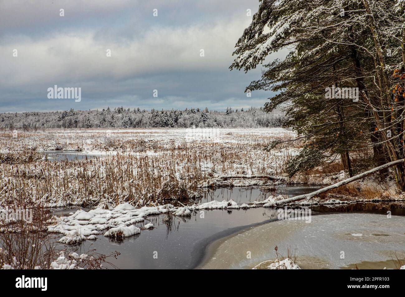 A March 2023 snowstorm dumped two feet of snow in parts of Phillipston ...
