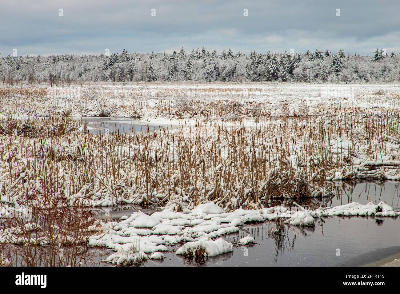 A March 2023 snowstorm dumped two feet of snow in parts of Phillipston ...