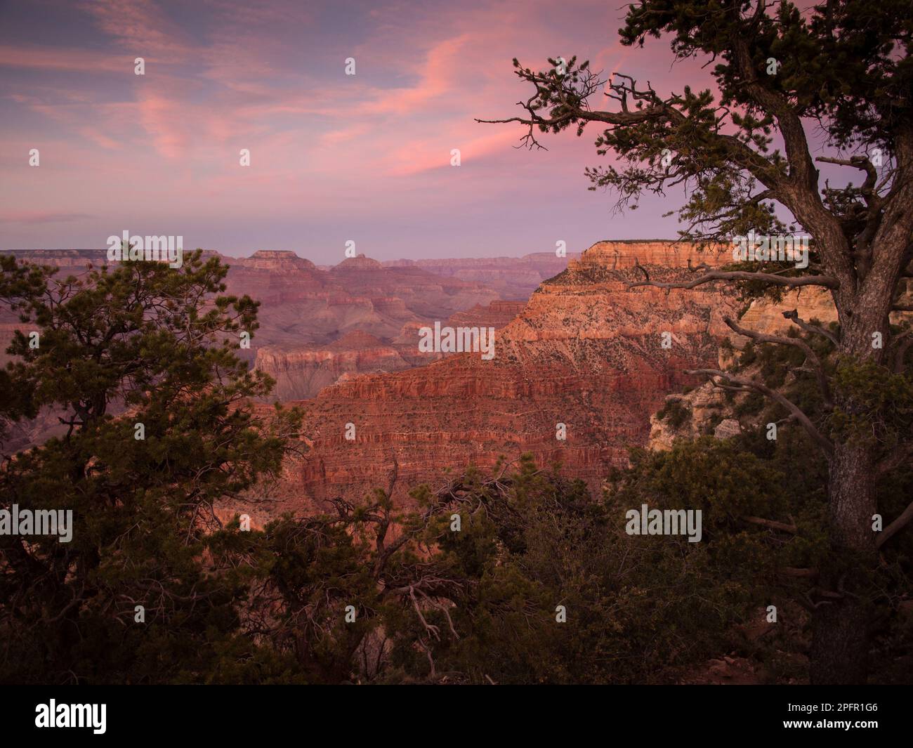 Wikipedia: Grand Canyon is a steep-sided canyon carved by the Colorado ...