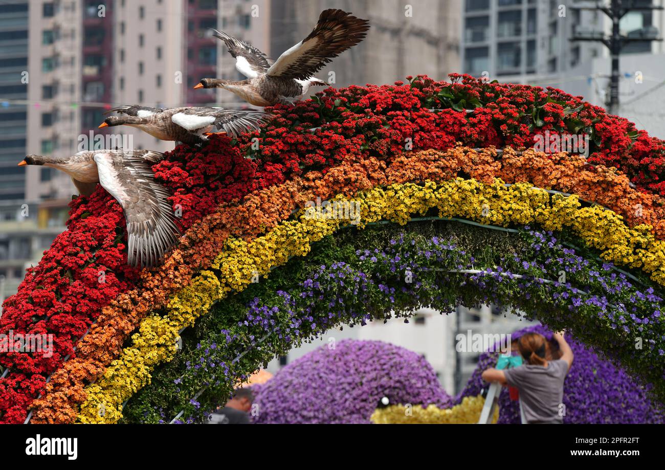 Media preview of Hong Kong Flower Show 2023 at Victoria Park, Causeway Bay. 225 organisations ...