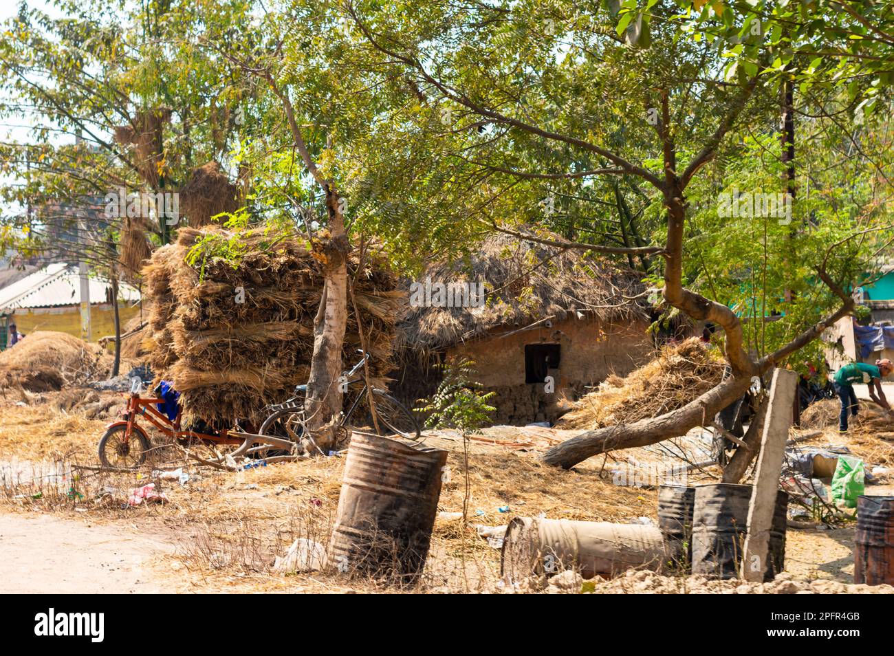 Typical hayloft in India. Haystack and farmer's house. Collection of ...