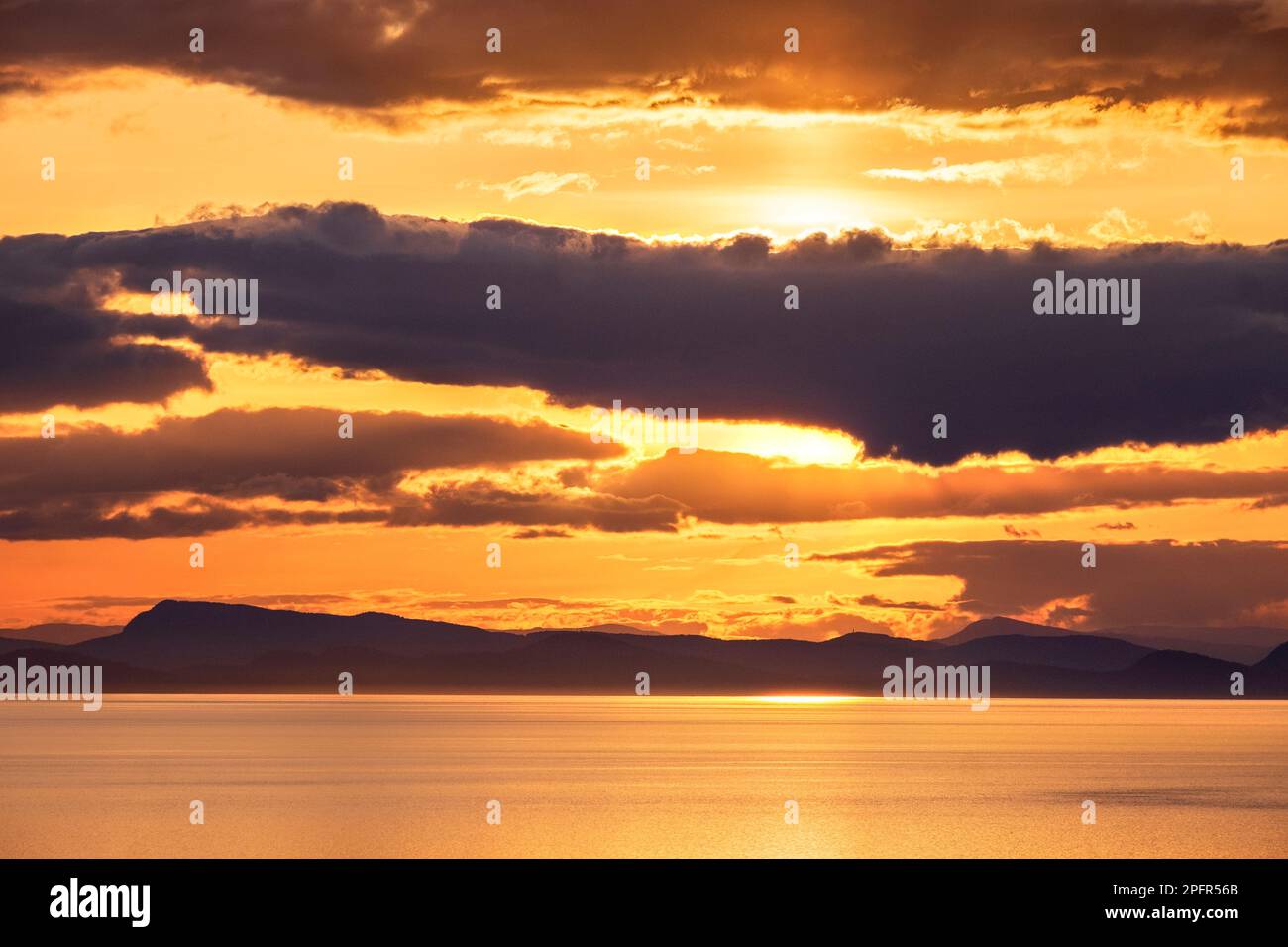 Point whitethorn hi-res stock photography and images - Alamy