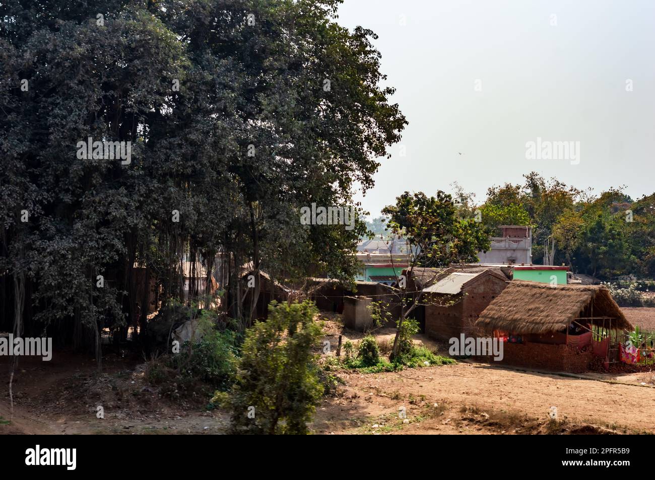 Rural Village Landscape Scenery in Rural Bengal. Barddhaman West Bengal ...
