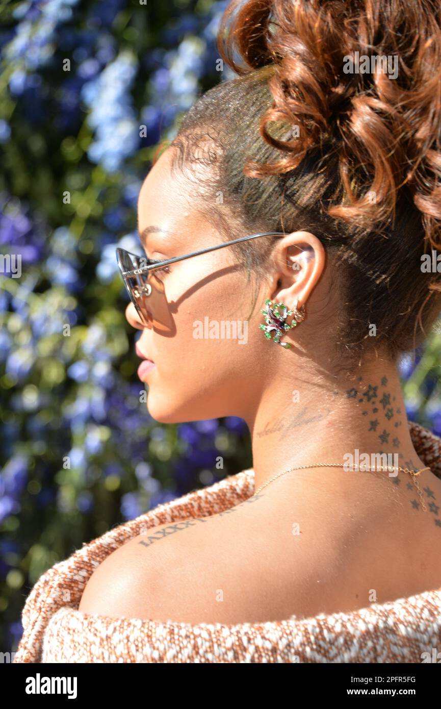 Rihanna attends the Christian Dior show part of the Paris Fashion Week ...