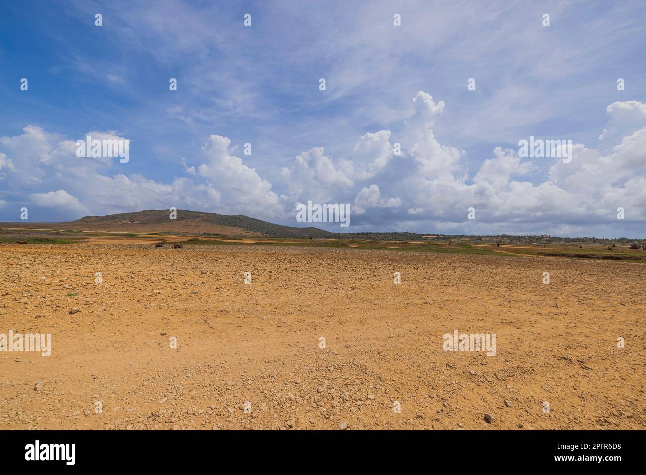 Beautiful view of stone desert of natural park on island of Aruba ...