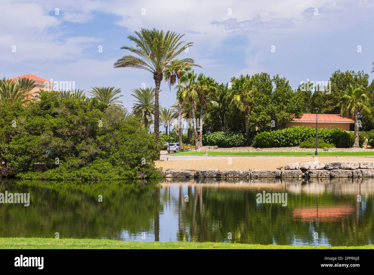 Beautiful view of palm trees on shore of pond and hotel with car ...