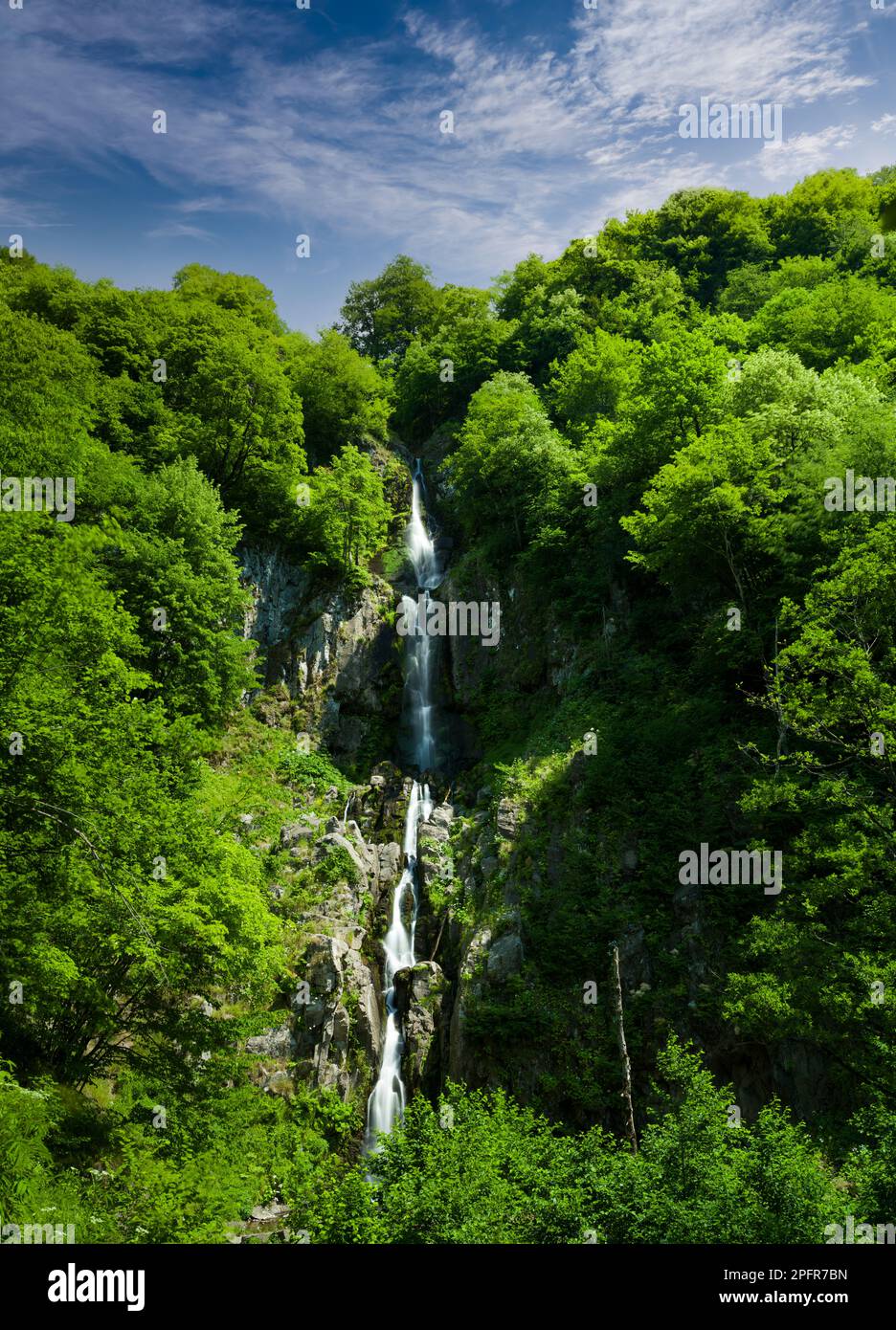 Waterfall in big forest. river flowing through rocks Stock Photo - Alamy