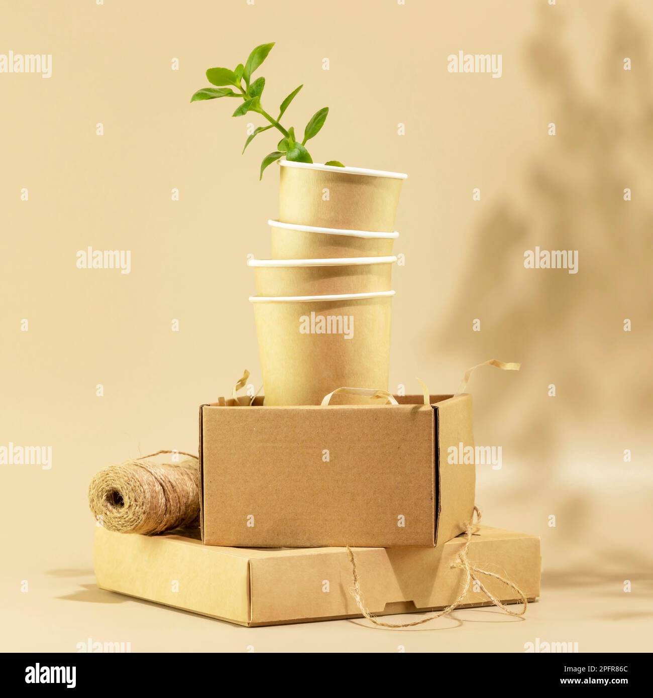 Sustainable still life. Eco friendly packaging concept. Cardboard boxes ...