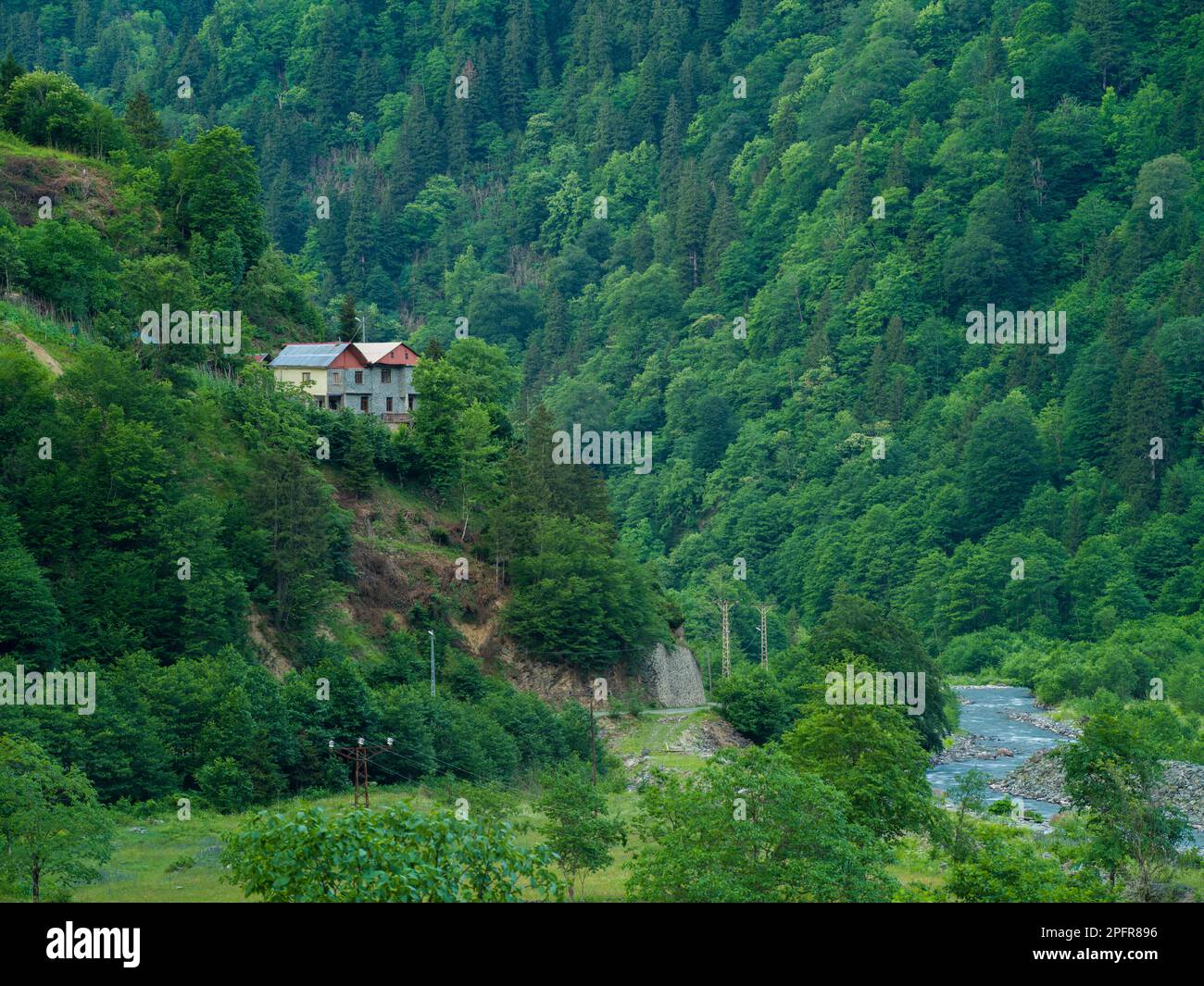 Houses in the woods. Storm creek valley. Eastern Black Sea Highlands ...