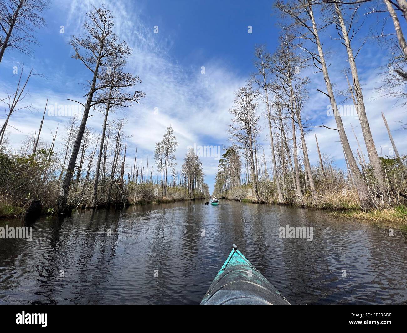 An active senior couple paddles Okefenokee National Wildlife Refuge ...