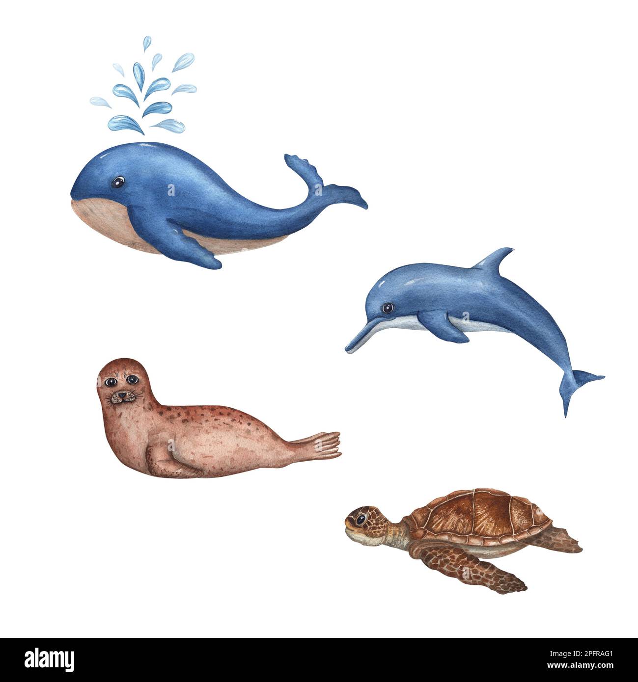 Watercolor sea set with whale, dolphin, fur seal, turtle isolated on ...