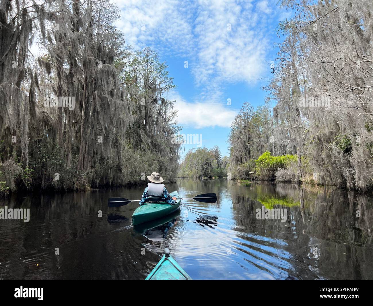 An active senior couple paddles Okefenokee National Wildlife Refuge ...