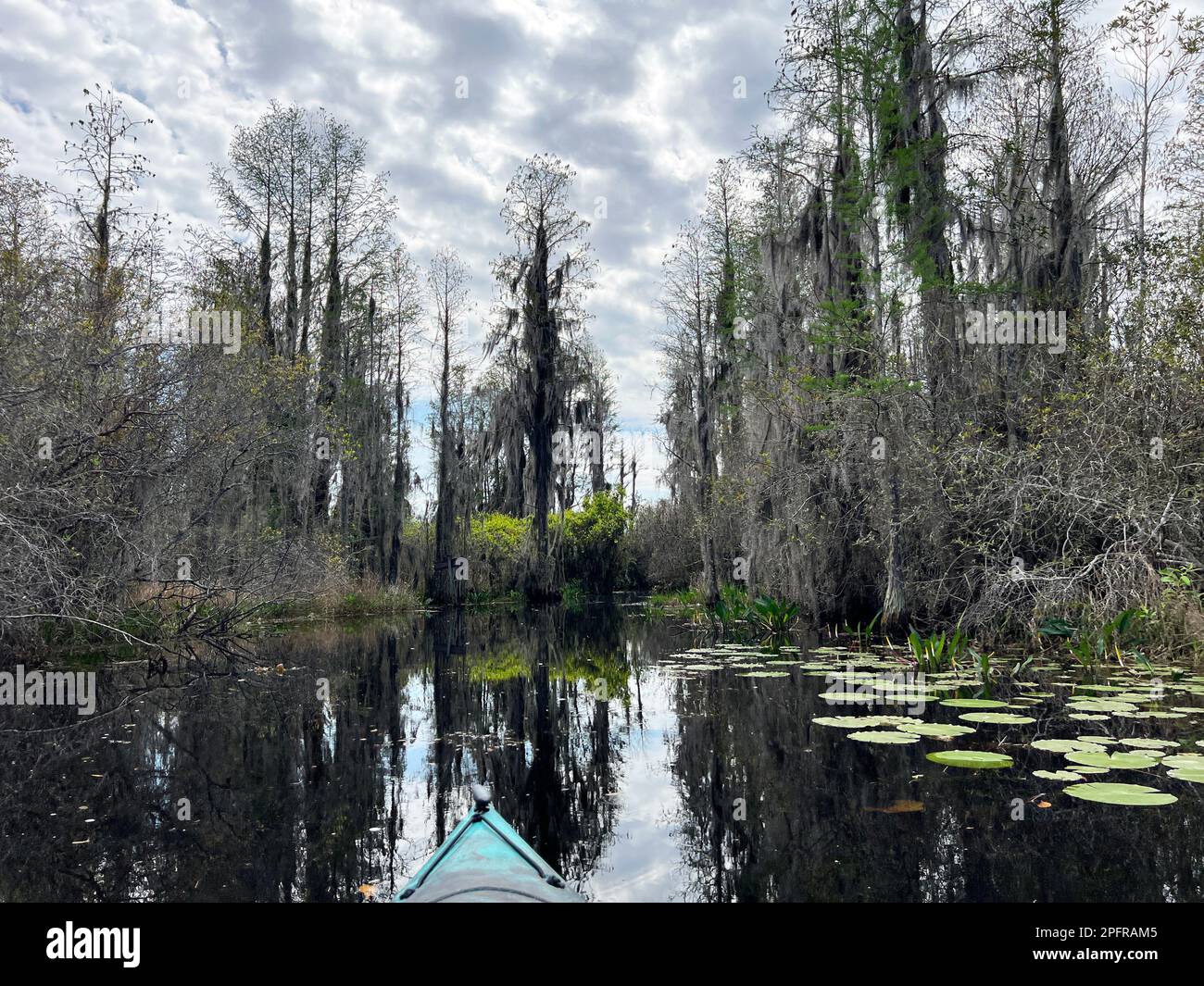 A kayaker enjoys the scenery at the Okefenokee National Wildlife Refuge ...