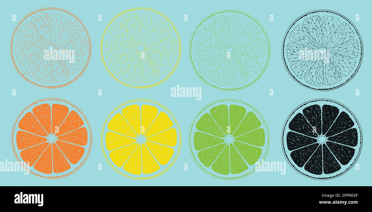 Orange, lemon, grapefruit and lime. Cut fruit. Four slices of citrus. Сontour illustration Stock ...