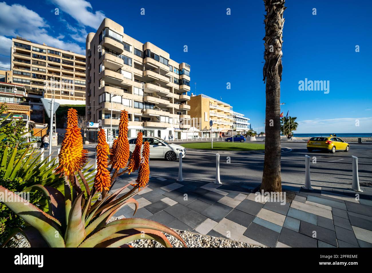 Benidorm beach palm trees hi-res stock photography and images - Alamy