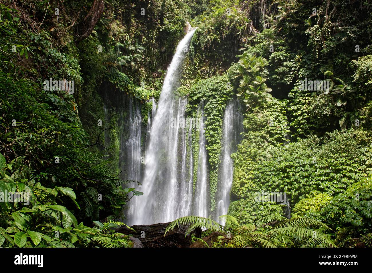 Beautiful waterfall in natural hi-res stock photography and images - Alamy