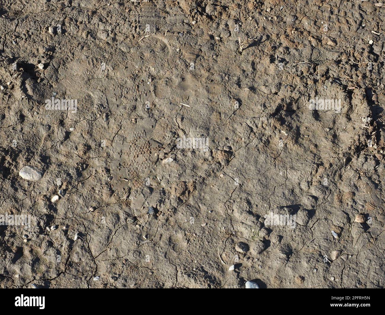 brown earth texture useful as a background Stock Photo - Alamy