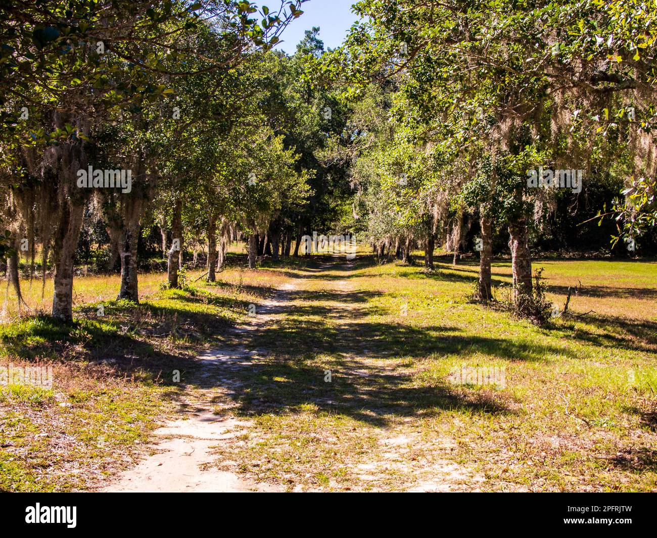 Santee delta hi-res stock photography and images - Alamy