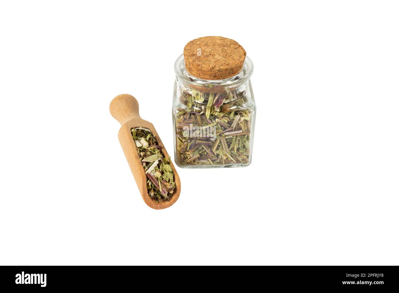 Catnip herb in latin - Nepeta cataria in wooden scoop and glass jar on ...