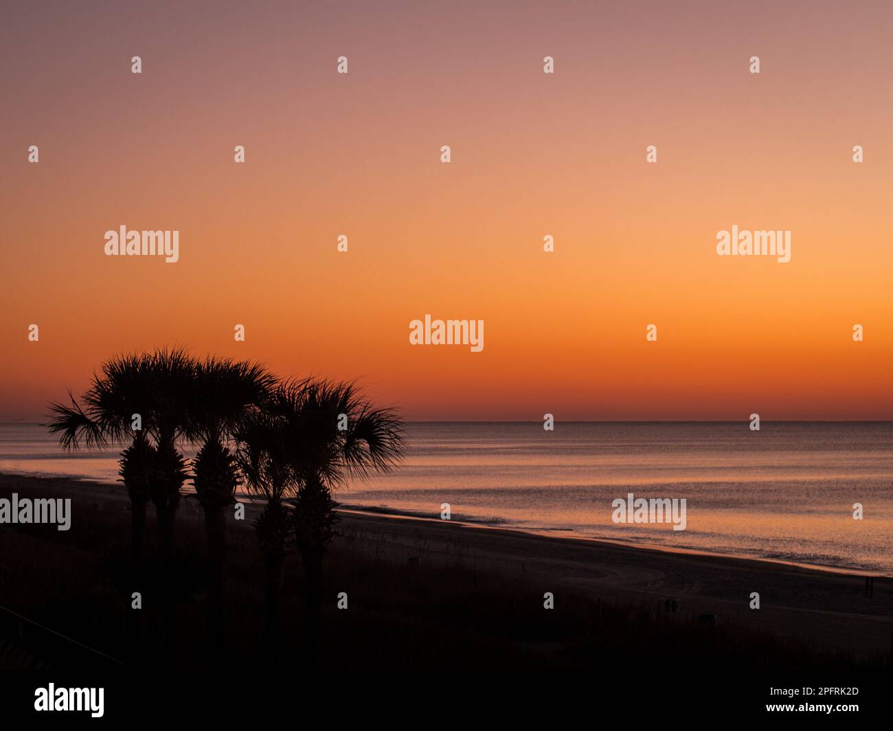 South Carolina is a southeastern U.S. state known for its shoreline of ...