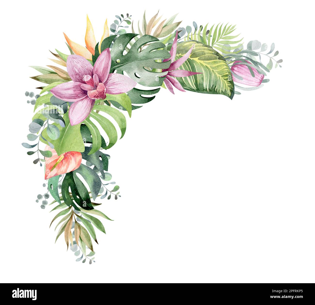 Watercolor floral frame. Frame from tropical flowers . Plants of ...