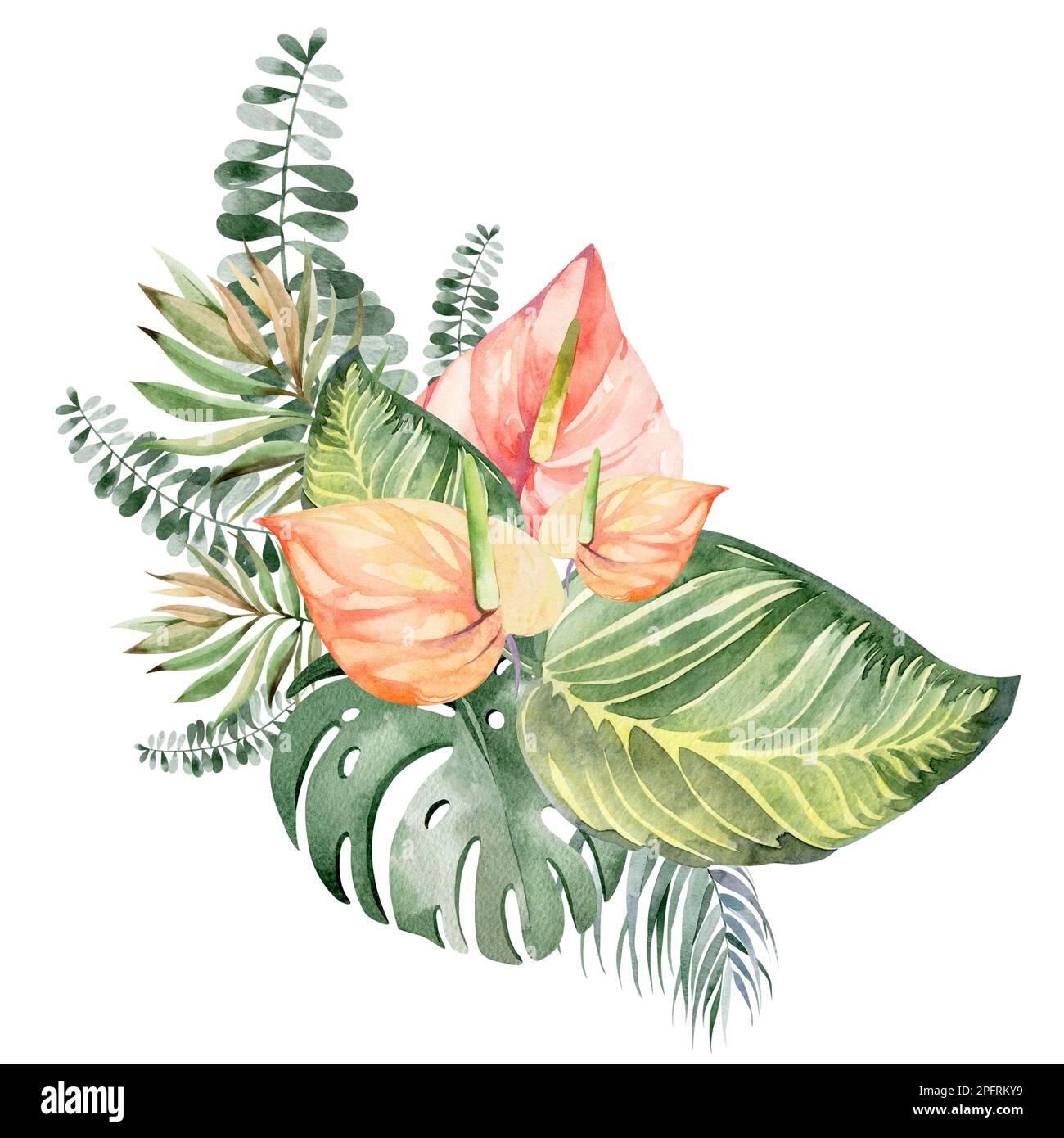 A set of illustrations of watercolor floral bouquet - gently pink ...